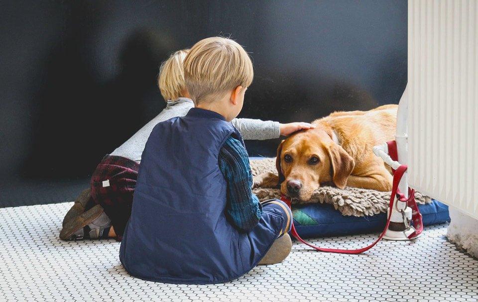 4 Tips for Keeping Children Safe Around Pets – AllPetSolutions