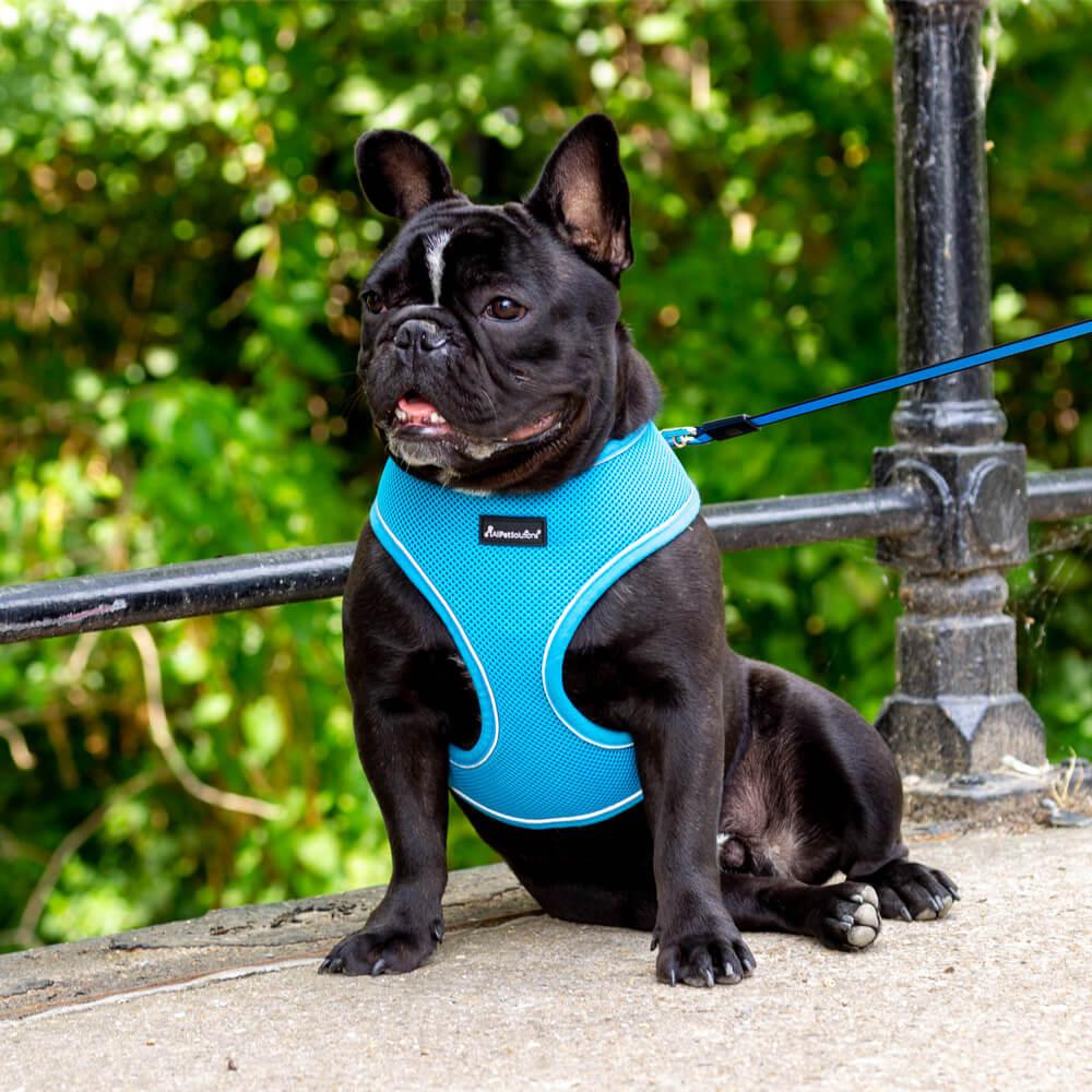 Dog Harness with Reflective Strip in Blue S M L XL